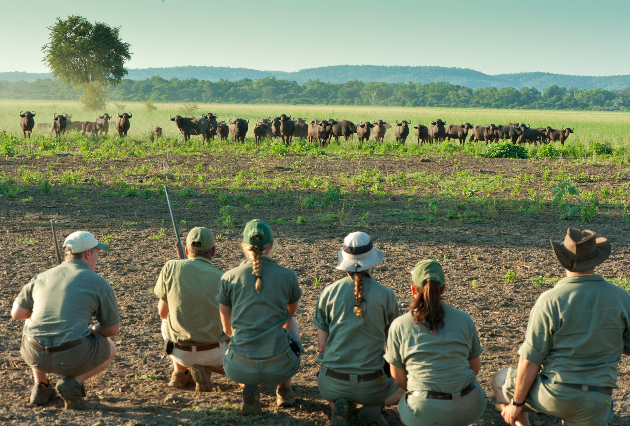 Was ist eigentlich ein Ranger? | SAFARI FRANK