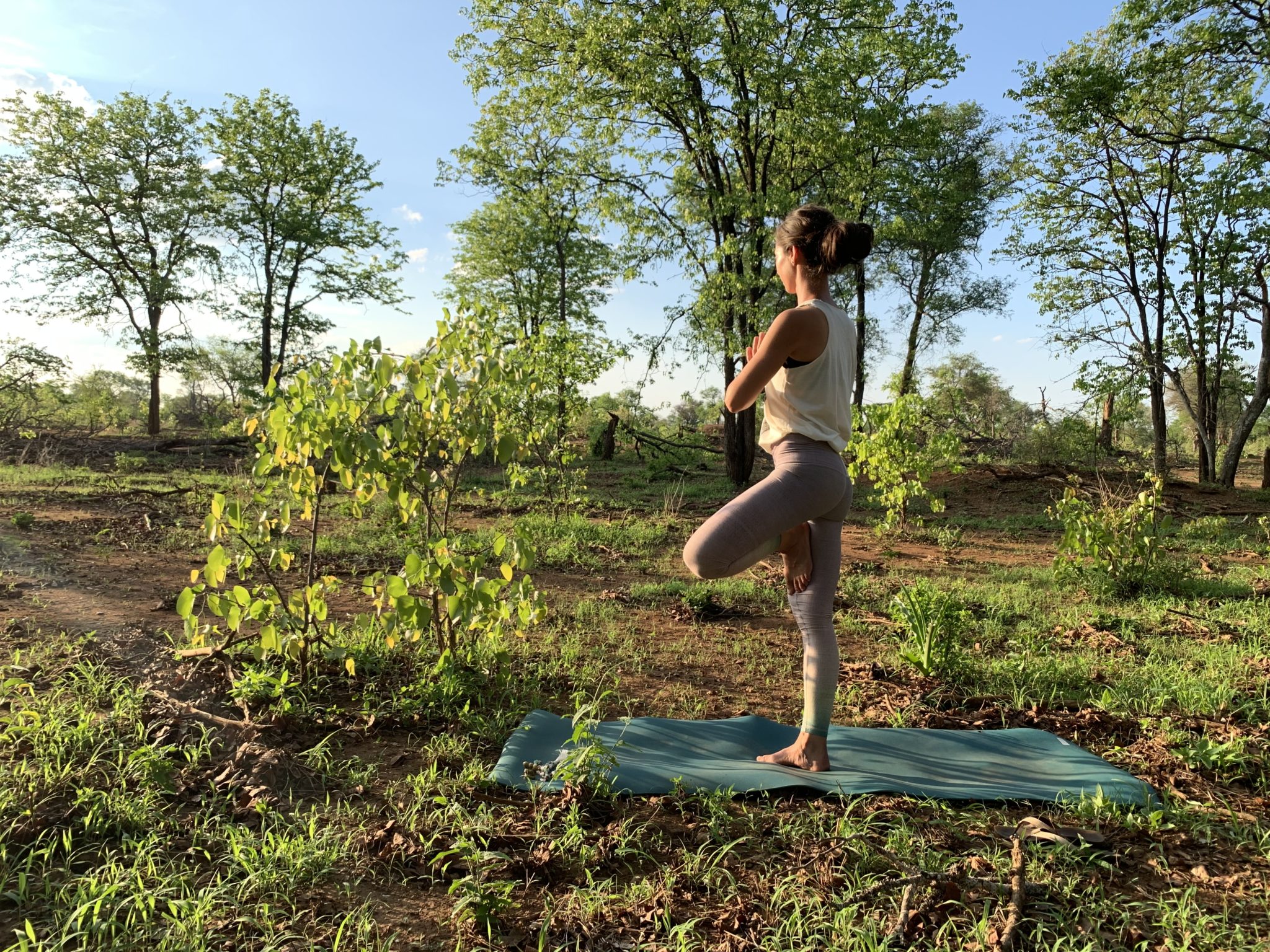 6-Tage Yoga & Walking Safari im Selati Game Reserve | SAFARI FRANK