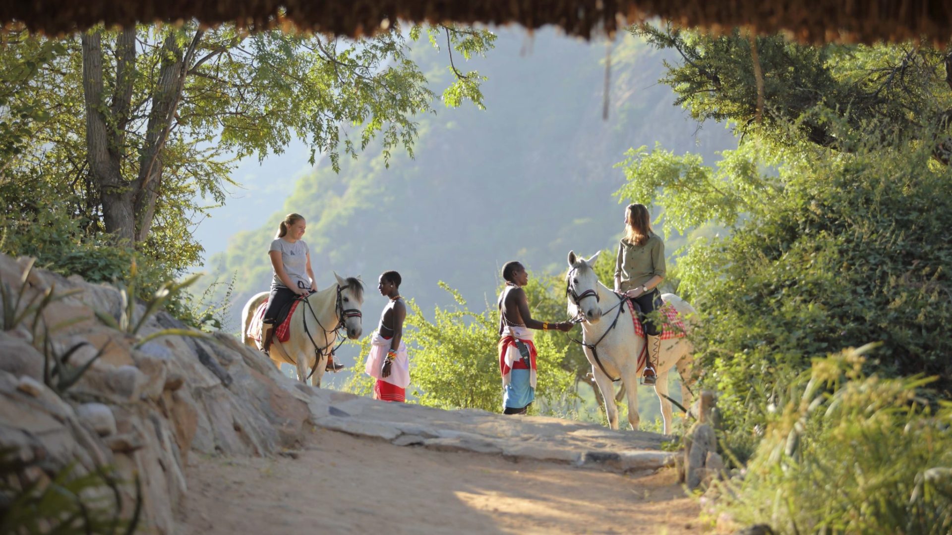 Sarara Treehouses | SAFARI FRANK