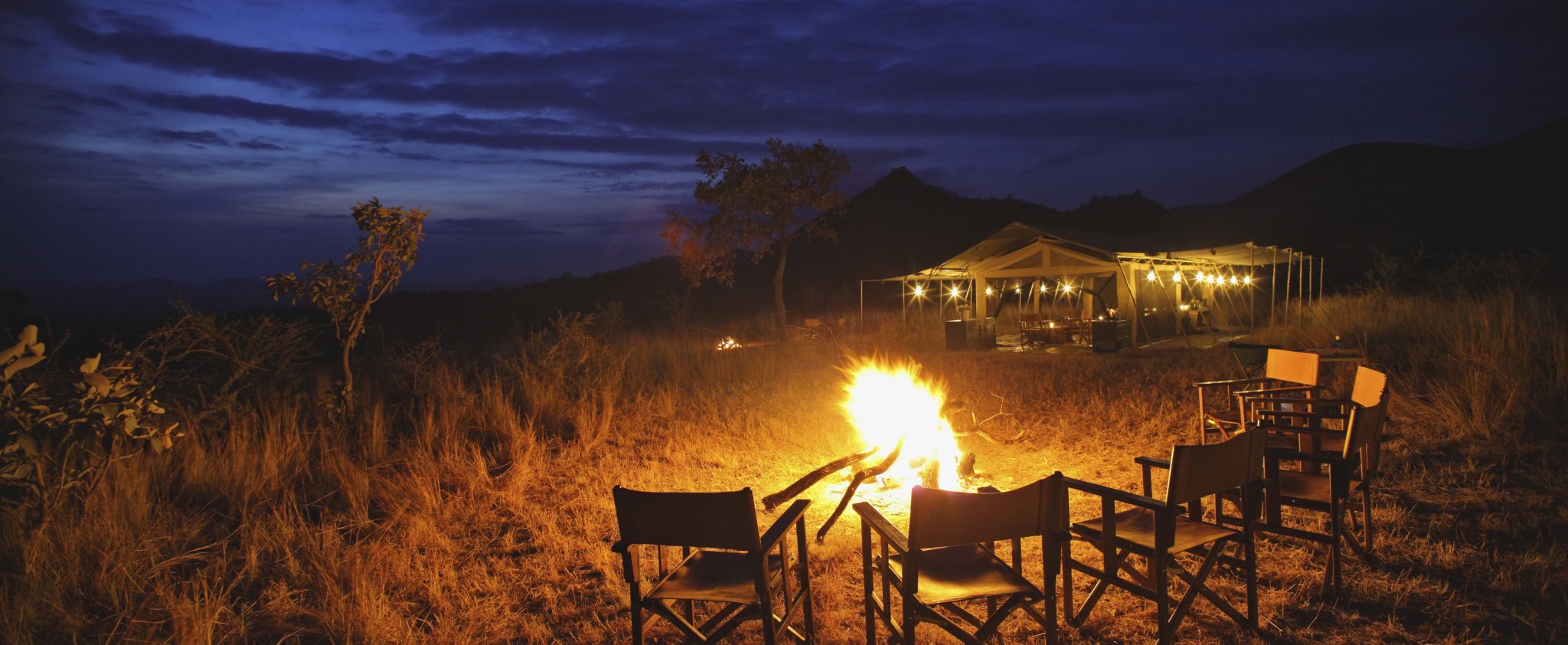 Freunde in der Wildnis – Die besten privaten Gruppensafaris für ...