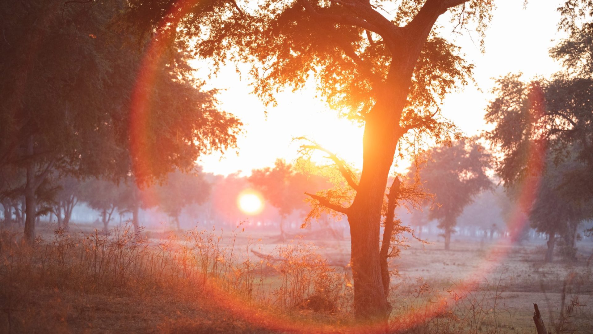 Kutali Camp | SAFARI FRANK