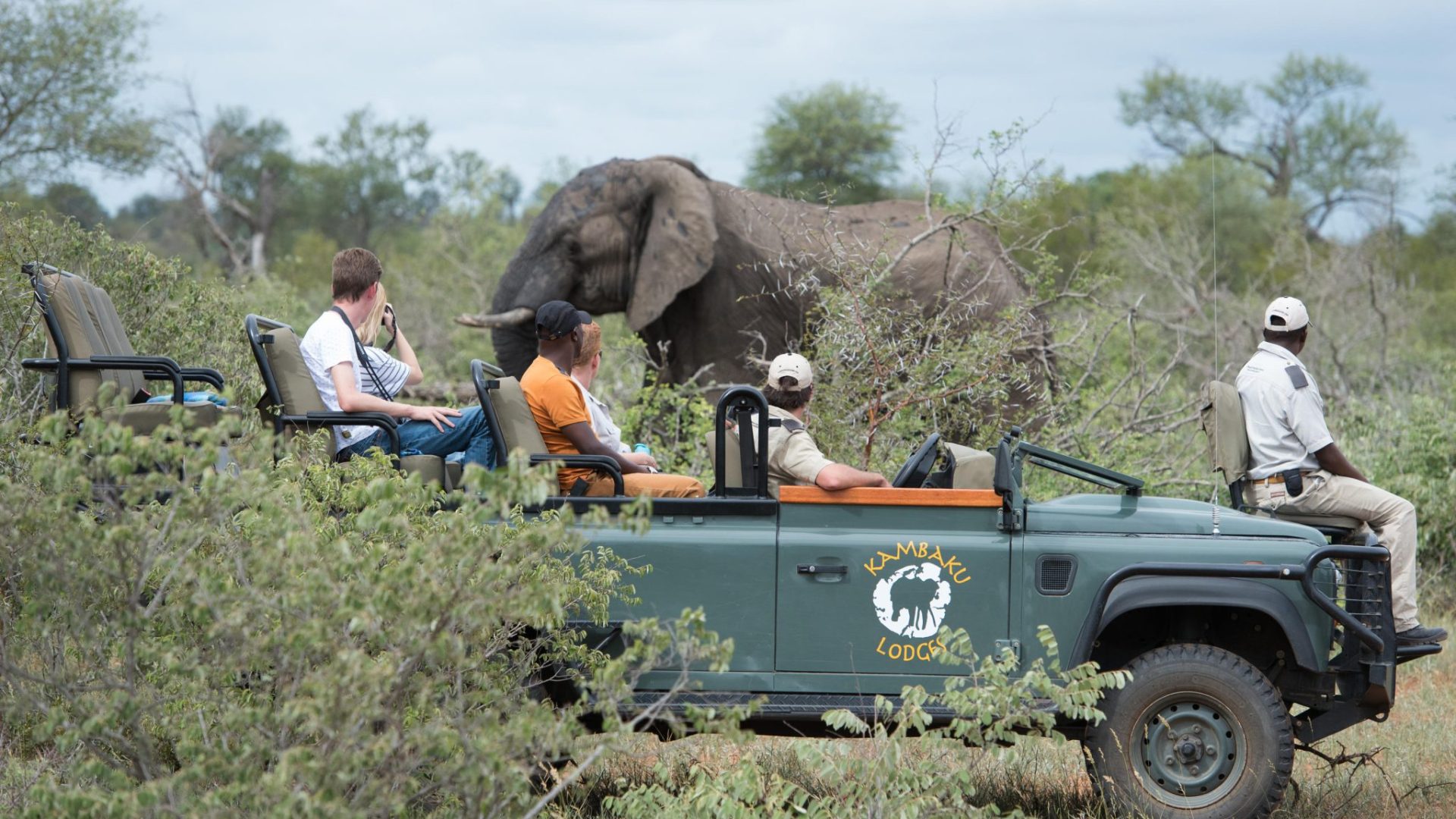 Kambaku Safari Lodge | SAFARI FRANK